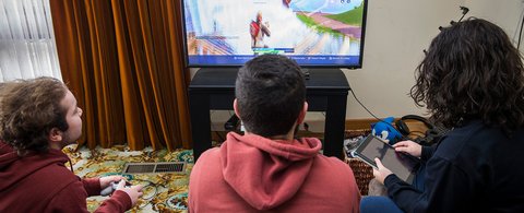 Gambling with their future: teenage gamers and pathways to gambling